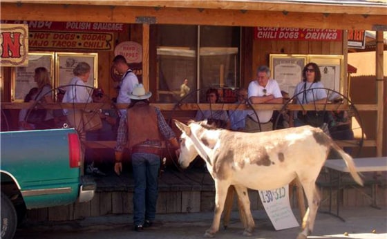 Carrot-toting tourists making Ariz. burros fat