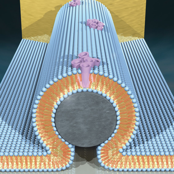 Transistor merges man and machine