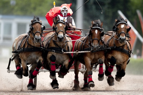 Roman Chariot Racing Roman Gladiator Show Book Chariot Race