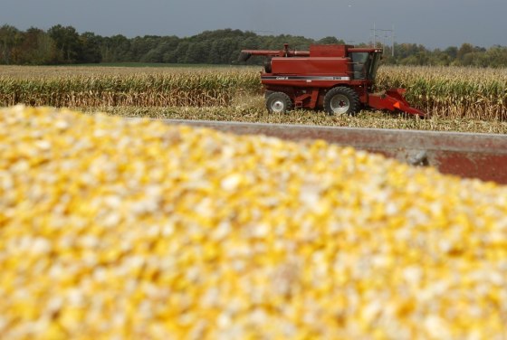 More corn (fuel) allowed in gasoline tanks