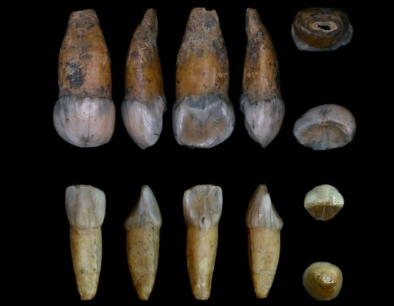 Neanderthal children were supersized