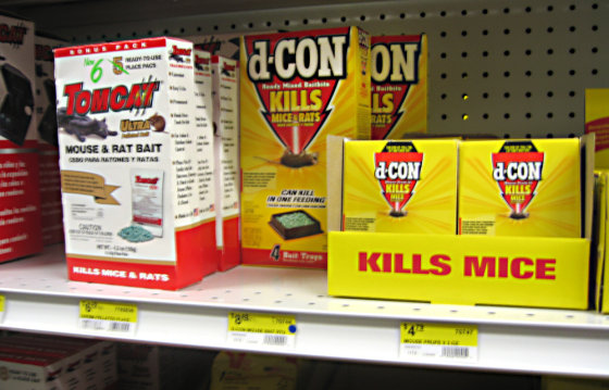 Decades on, EPA on verge of curbing use of rat poisons