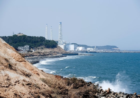 Radioactivity rises in sea off Japan nuclear plant
