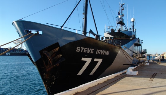 steve irwin ship