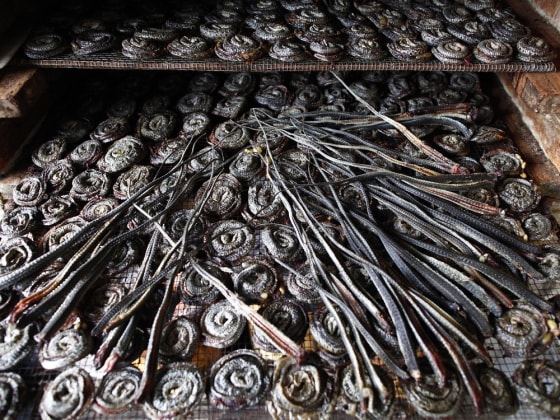 Business is booming in China's 'snake village'