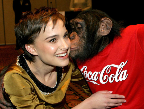 Chimps on TV may be sending wrong message