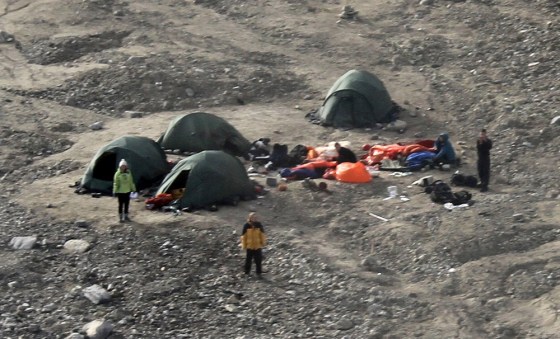 florida bear attack camper