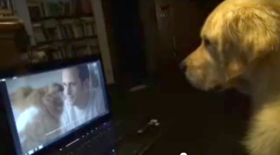 Nestle ad first to pitch to canine customers