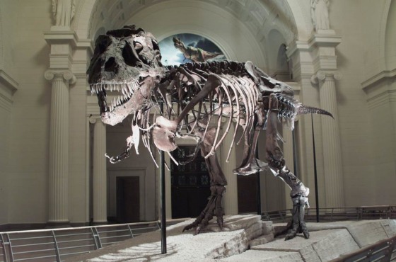 And weighing in at over 9 tons ... T. rex!