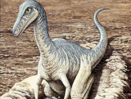 North Pole dinosaurs lived short, hard lives