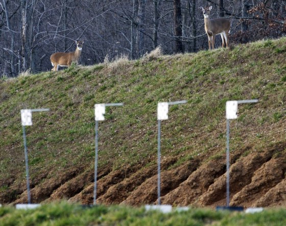 Deer find safe home at FBI firing range, academy