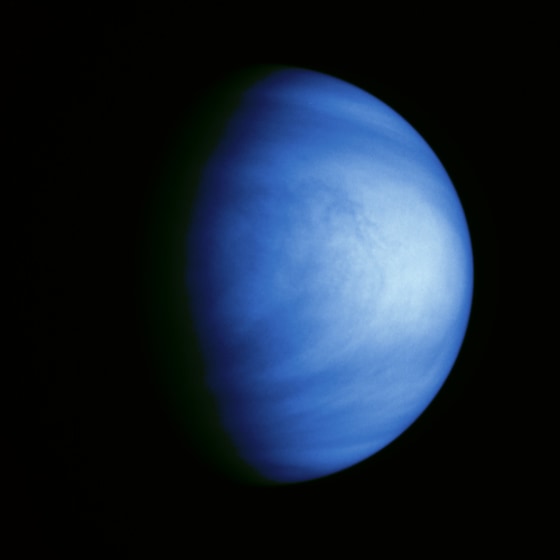 venus verve