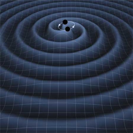 black hole waves