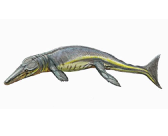 toxodon predators