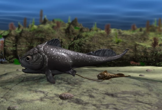 Fish had sex first, fossils suggest