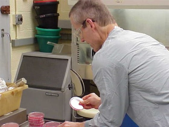 Microbiologist says anthrax suspect was stalker