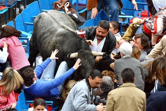 Bull jumps into stands in Mexico City