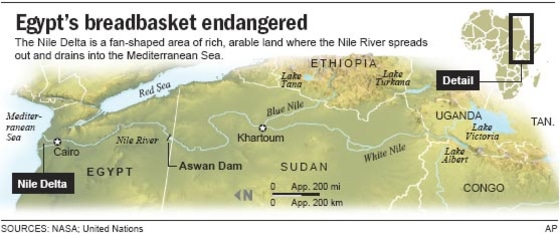 nile delta case study