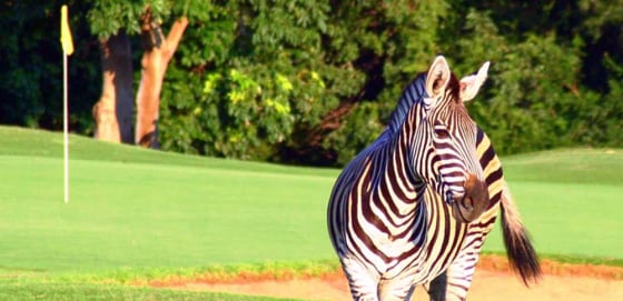 The world’s most extreme golf courses