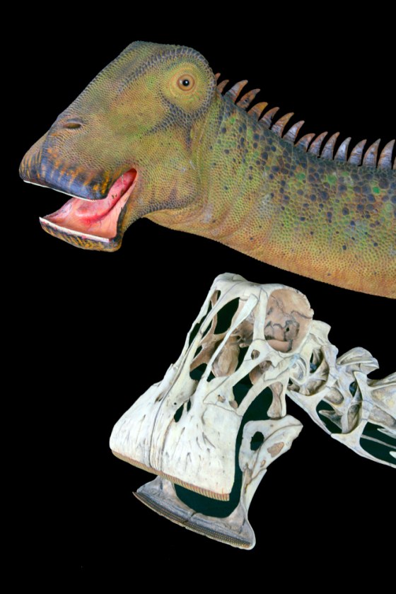 Dinosaur found with vacuum-cleaner mouth