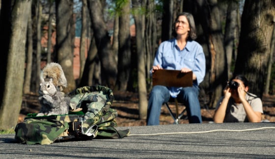 Mechanical animals aid behavior research