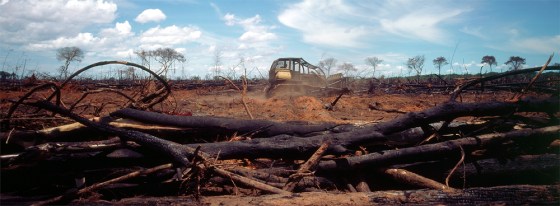 soybean deforestation