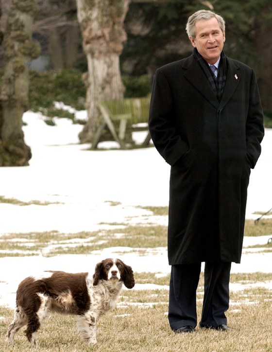 Bush’s dog put to sleep because of health woes