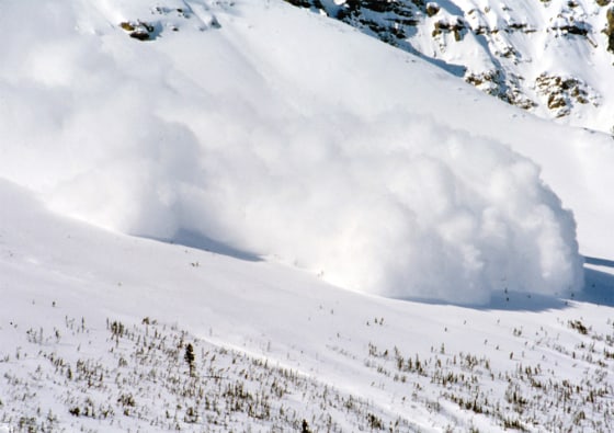 Avalanche: Surviving Tragedy
