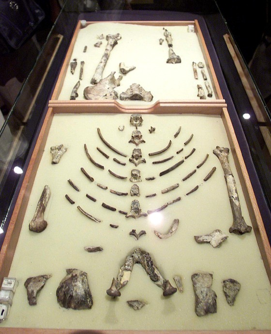 famous museum artifacts