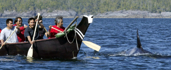 Is orca reincarnated native chief?