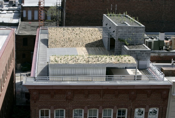 Landscape architects tend to a green roof
