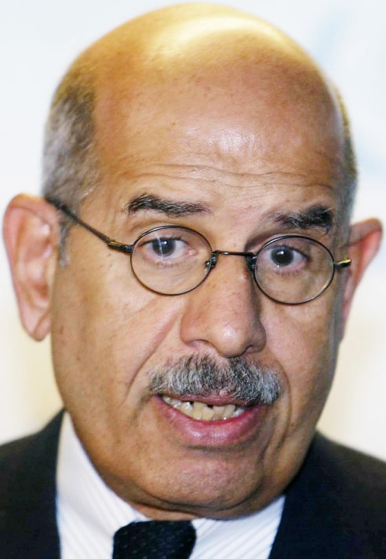 Al-Qaida sought nuke, IAEA chief says