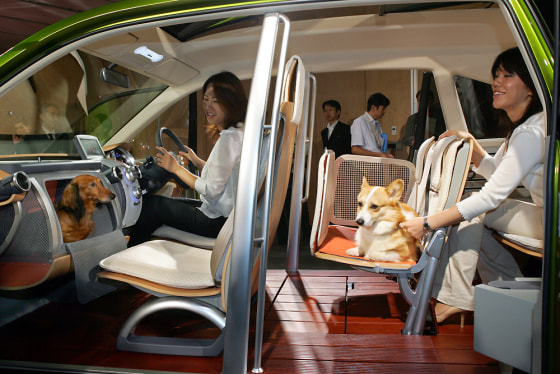 Honda unveils vehicle designed for dogs