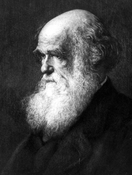 charles darwin principle