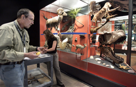 Exhibit features past and present evolution