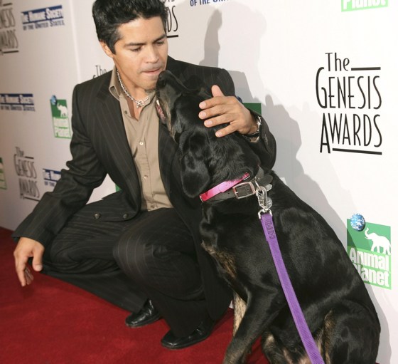 Hero Katrina dog is star at awards dinner