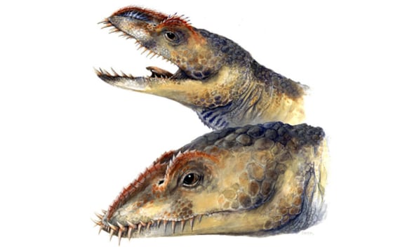 Sea monster dates back to dinosaur era
