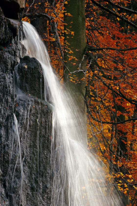 Top 10 fall foliage destinations