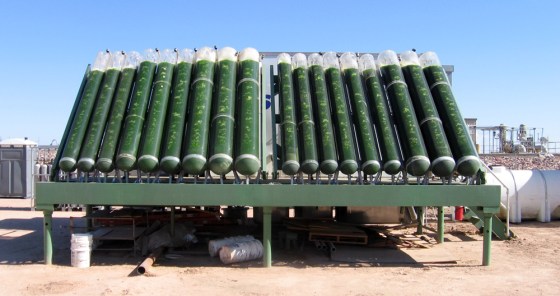 algae biofuel project