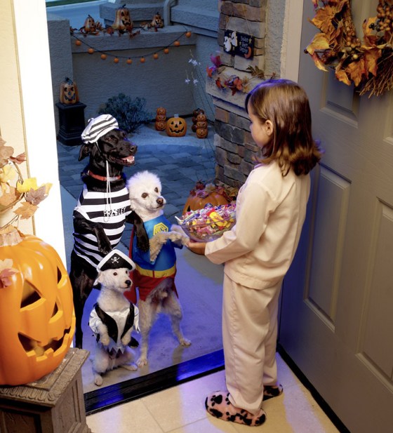 funny trick or treating