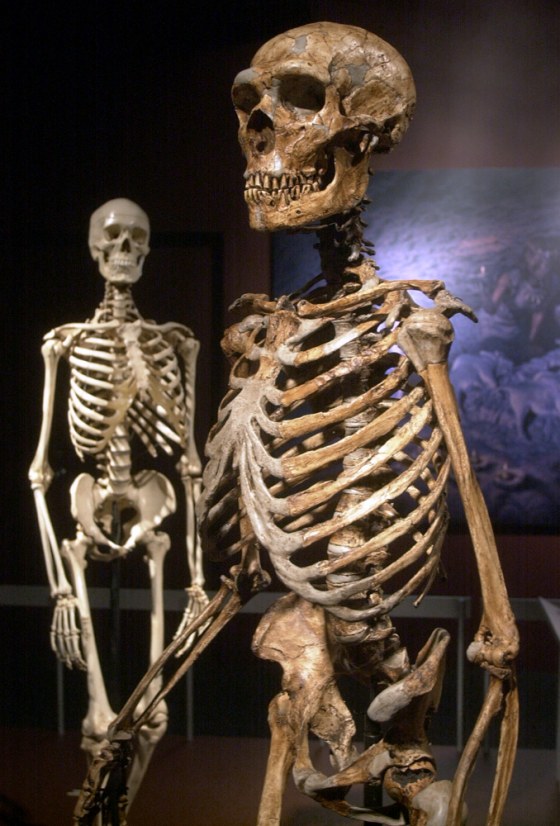 russian neanderthals