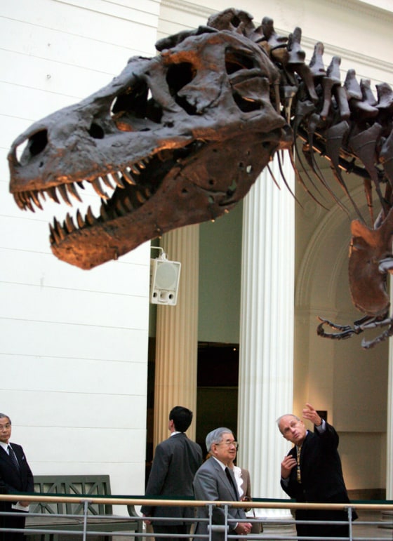 Museum starts adopt-an-artifact program