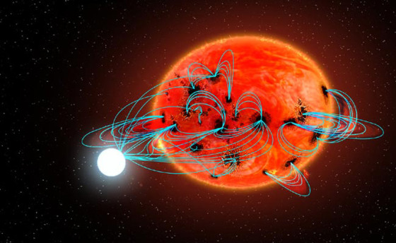 white dwarf planetary system