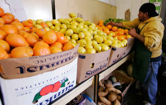Citrus freeze a disaster for workers