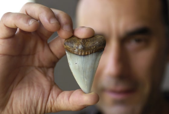 Peru concerned about fossil trafficking