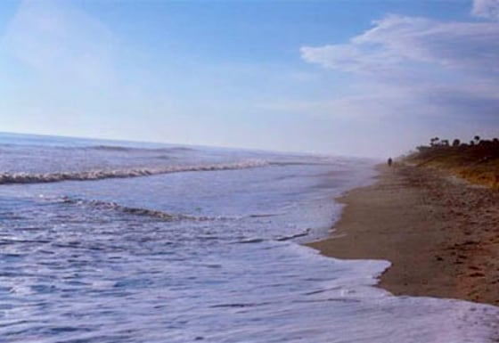 polluted water beach