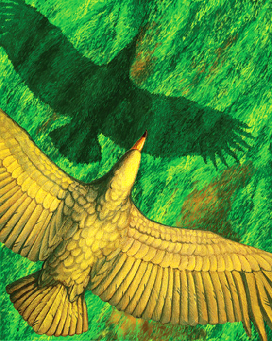 largest prehistoric bird