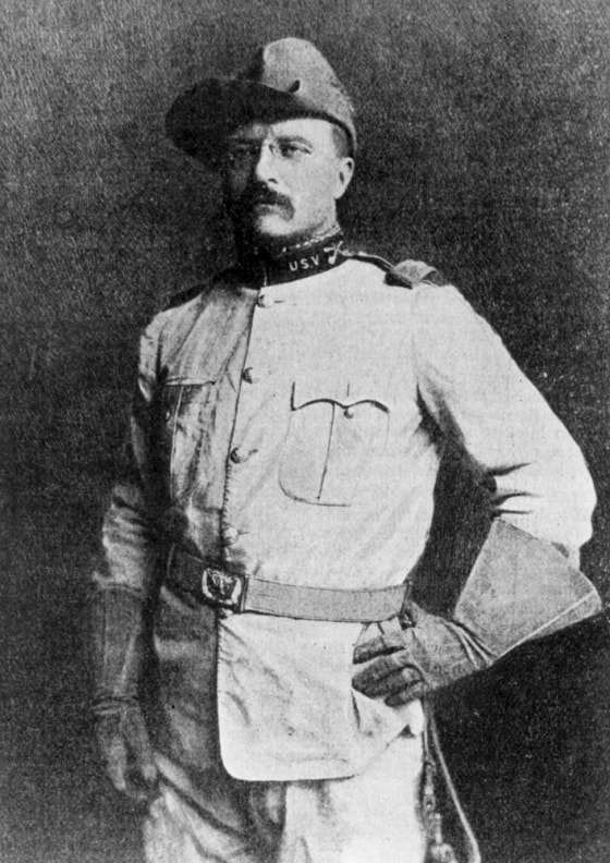 teddy roosevelt