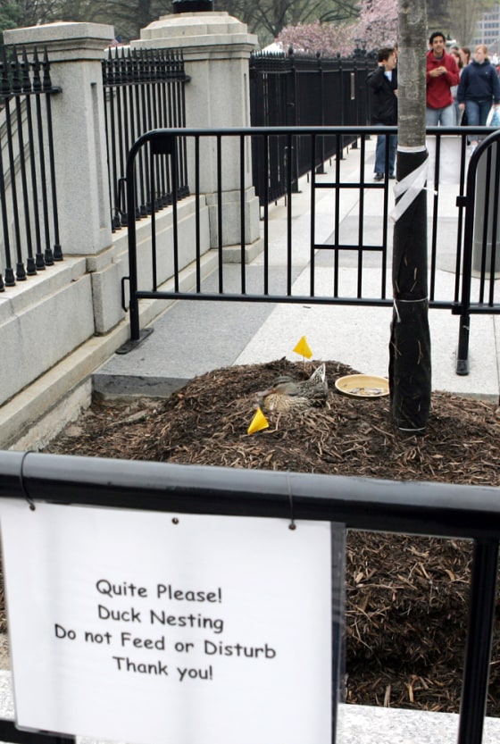 Secret Service won’t duck new security task