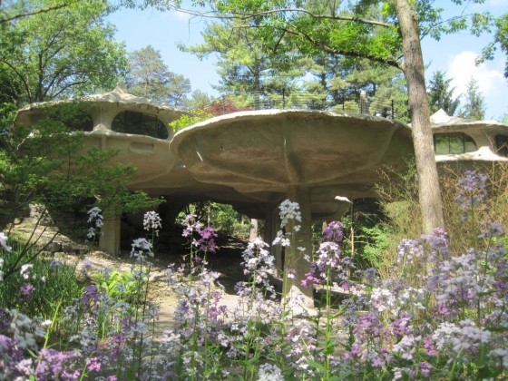 Listing of the Week: Art Blooms in Mushroom House